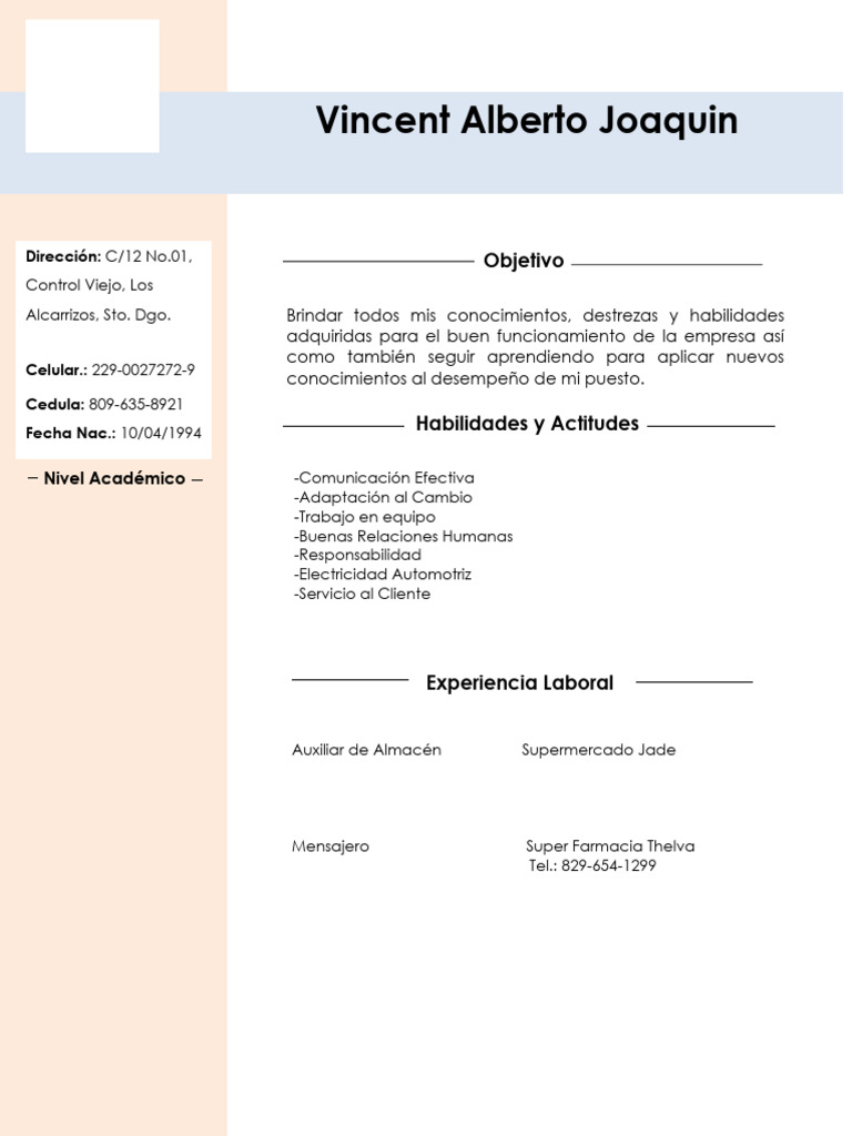 Curriculum Vincent Alberto Joaquin | PDF