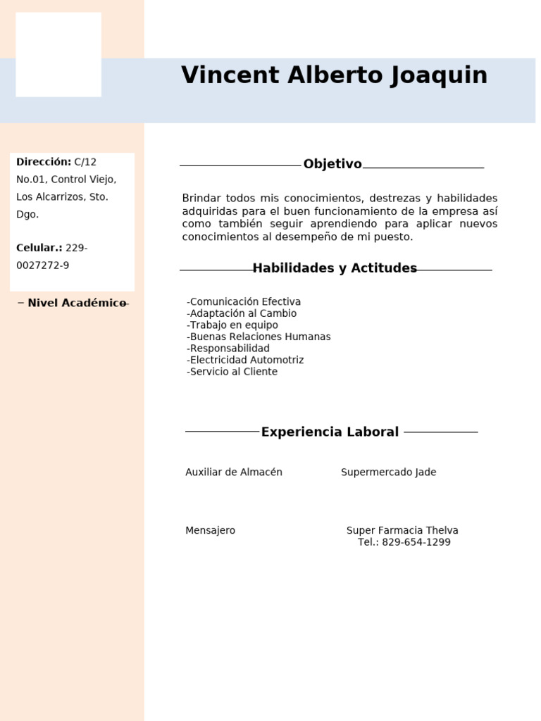 Curriculum Vincent Alberto Joaquin | PDF