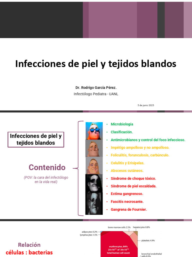 Infecciones de Piel y Tejidos Blandos RGP | PDF | Staphylococcus Aureus | Inmunología