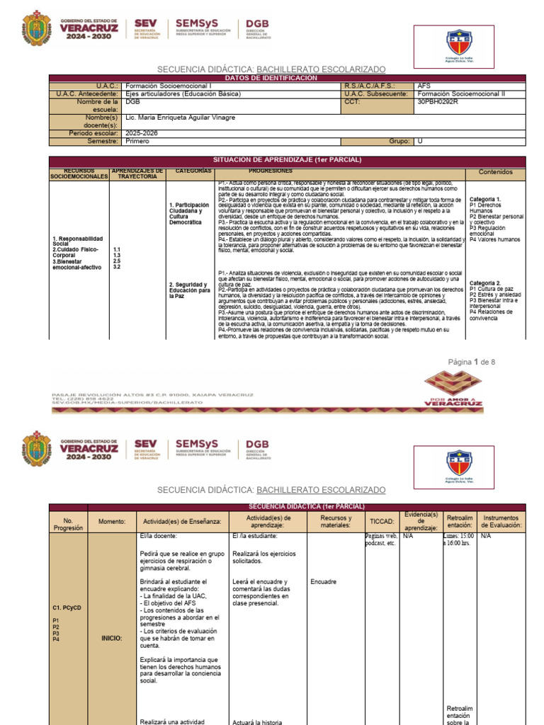 SD - Currículum Ampliado Prac. y Col. Ciud. 1er Sem | PDF | Enseñando ...