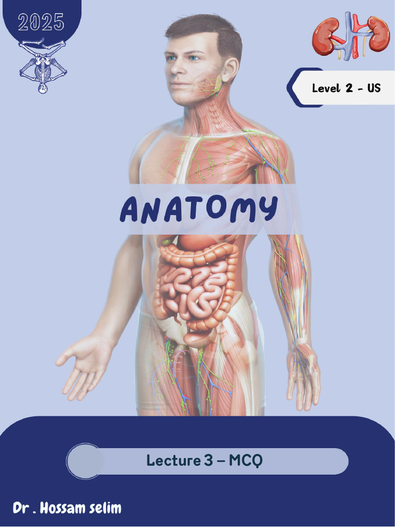 Anatomy - US 3 - MCQ | PDF