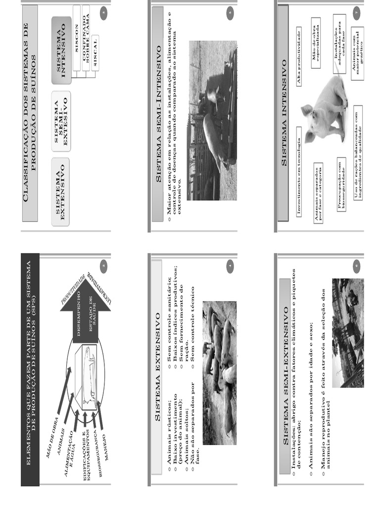 Compilado Suinos PDF 2 | PDF