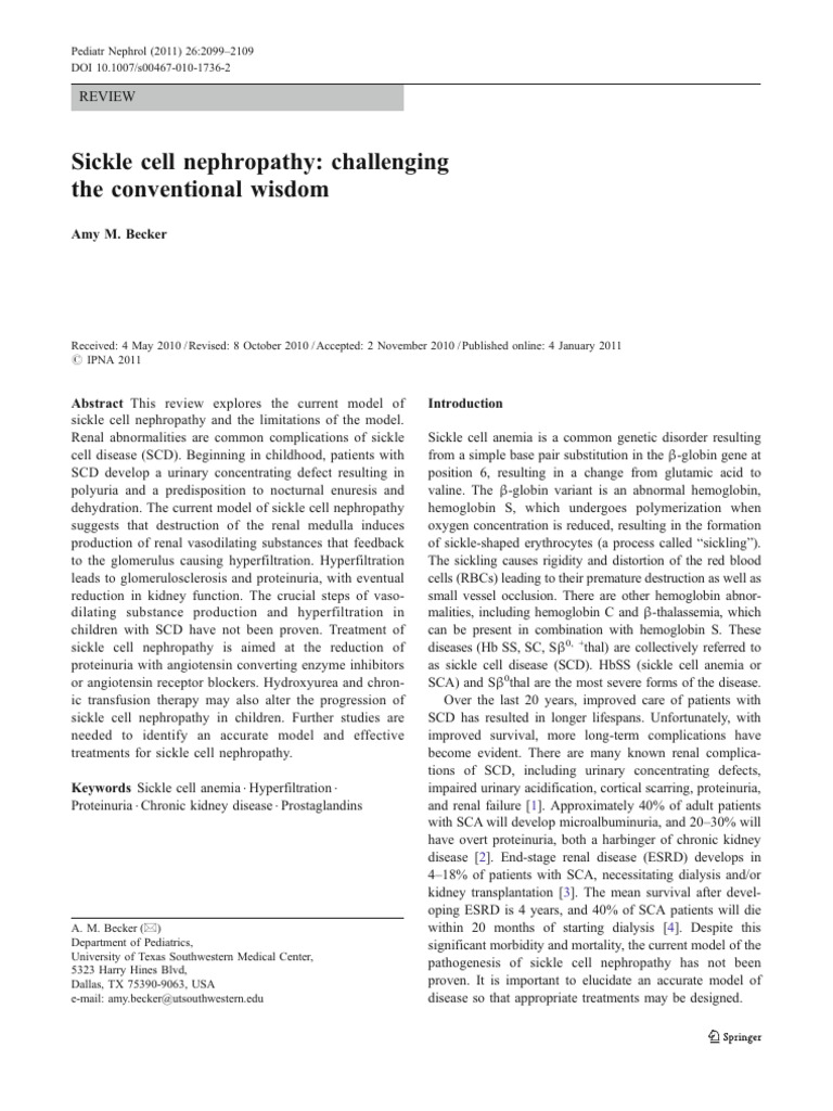 Sickle Cell Nephropathy Insights | PDF | Kidney Disease | Urinary System