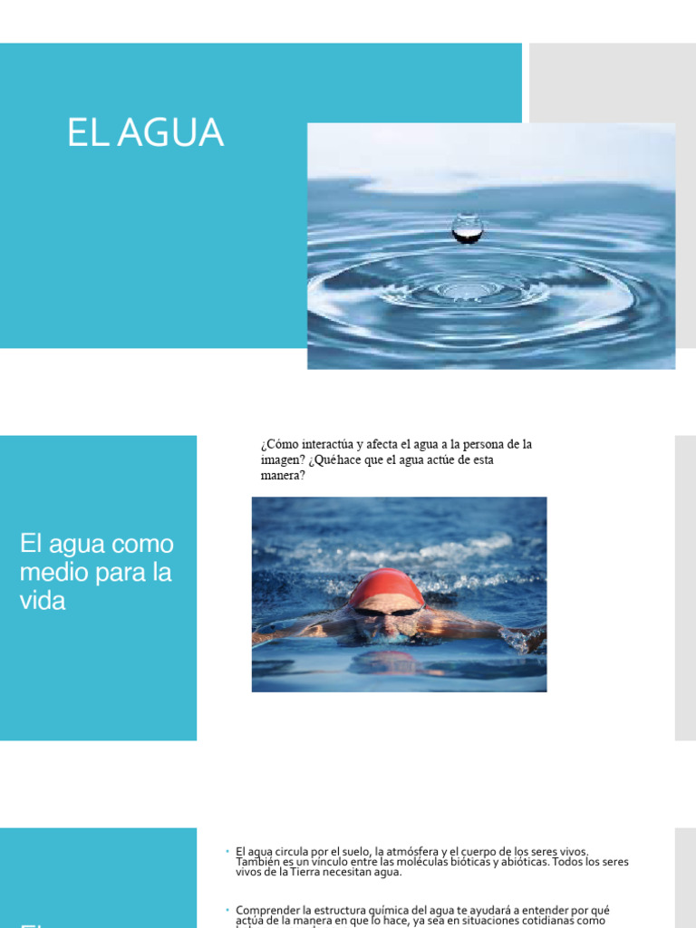 EL AGUA | PDF | Propiedades del agua | Agua