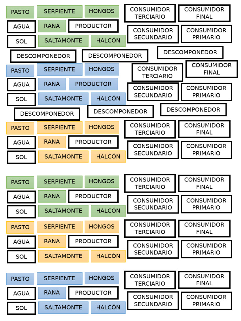 Ecosistema: Productores y Consumidores | PDF