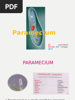 Structure and Life Cycle of Paramecium | PDF | Biology | Cell Biology