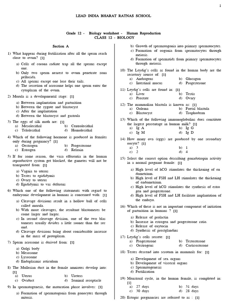 Gr 12- Human Reproduction Worksheet | PDF | Menstrual Cycle | Uterus