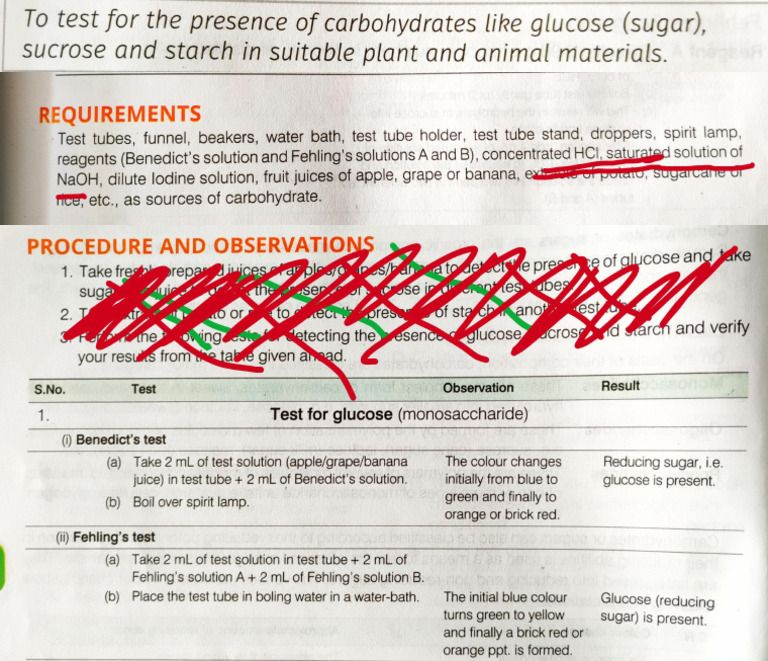 Glucose Testing in Plant Extracts | PDF | Sugar | Diet & Nutrition