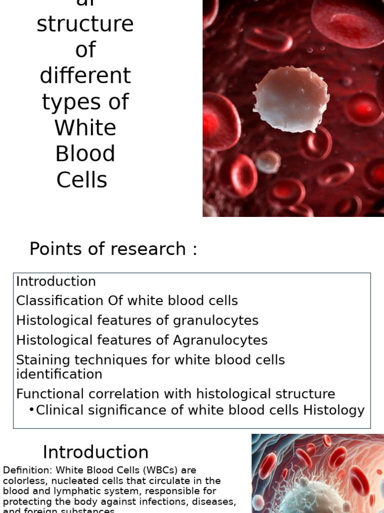 Histological structure Of different types of White Blood Cells | PDF ...