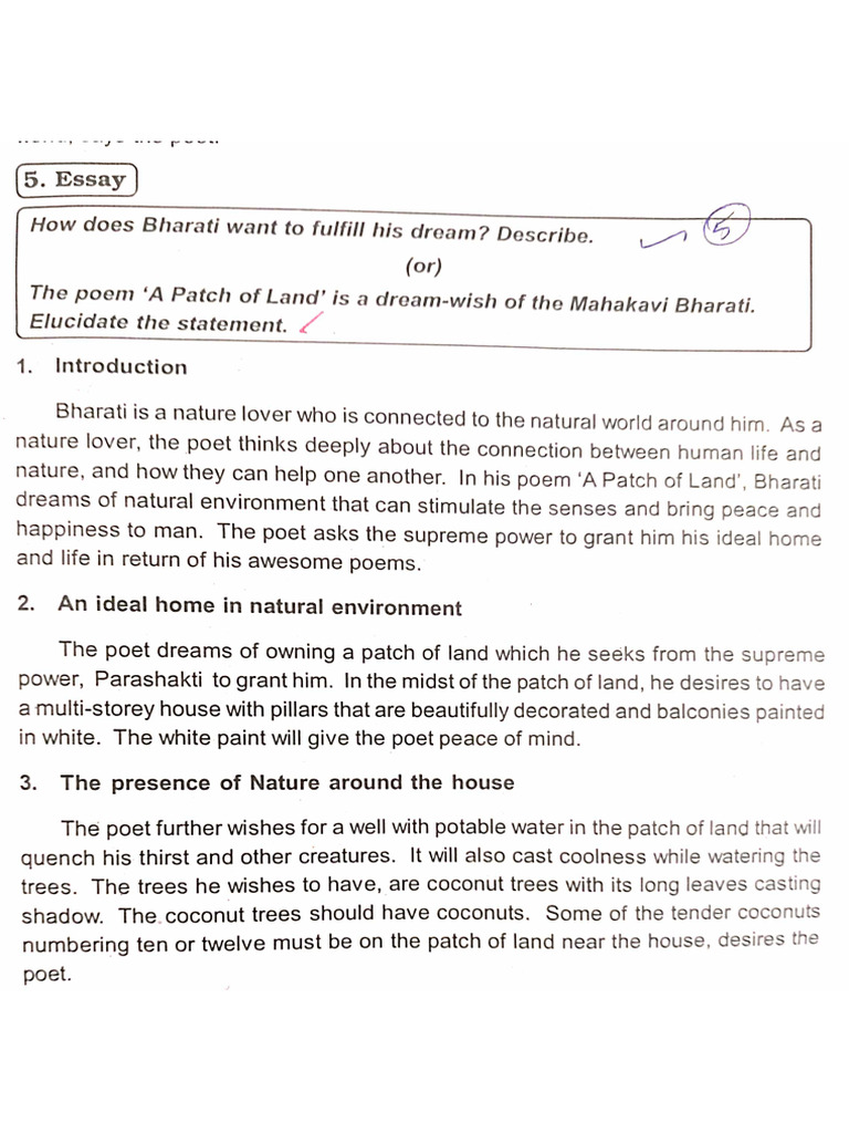 First Year Notes | PDF