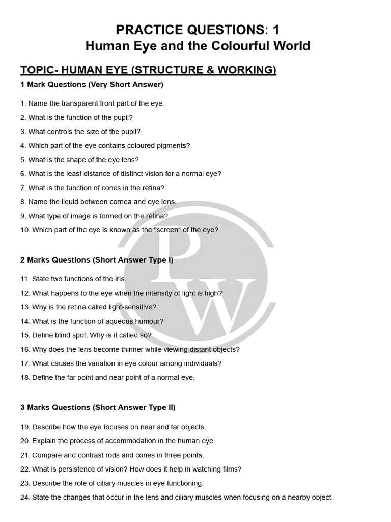 Human Eye Structure and Function Guide | PDF