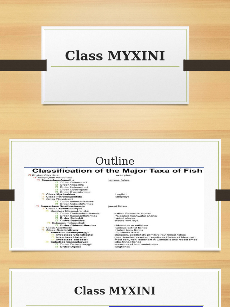 Overview of Class MYXINI: Hagfish Facts | PDF