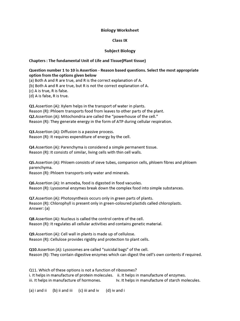IX Biology Worksheet For HY 2025 | PDF | Cell (Biology) | Cytoplasm