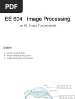 Photopic, Mesopic, and Scotopic Vision | PDF | Contrast (Vision ...