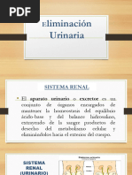 Medición y Características de Diuresis | PDF | Orina | Sodio