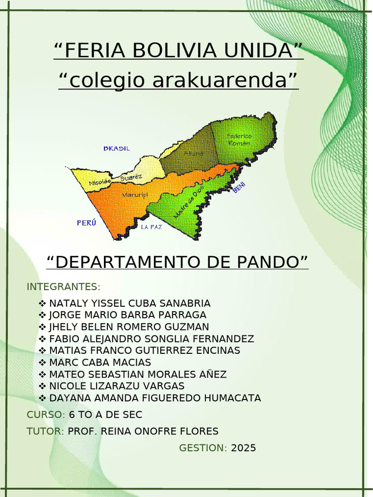Informe Del Dpto de Pando | PDF
