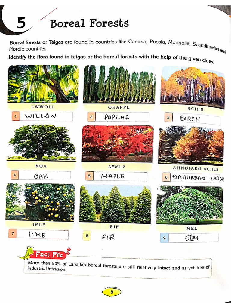 Class 8 Icse GK Book Odf | PDF