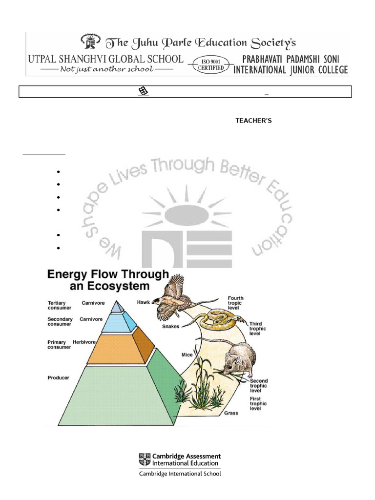 Organisms & Their Environment | PDF | Decomposition | Soil