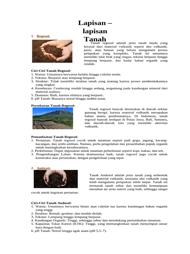 Regosol | PDF