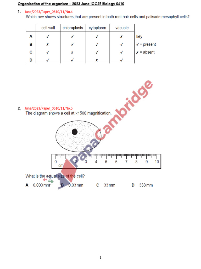 2023 Organisation of The Organism IGCSE 0610 Biology | PDF