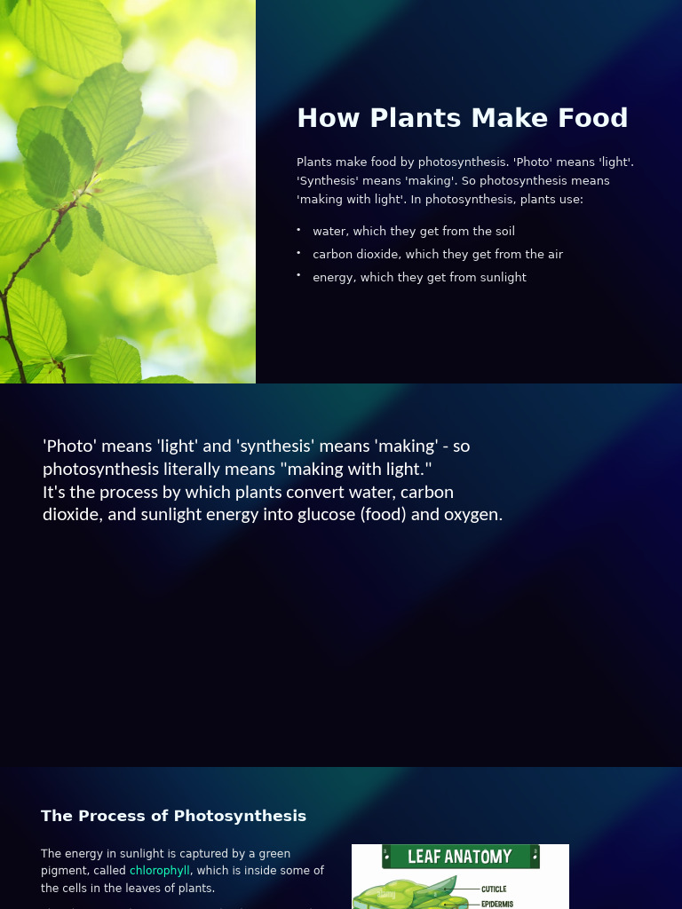 Photosynthesis: How Plants Make Food | PDF | Photosynthesis | Plants