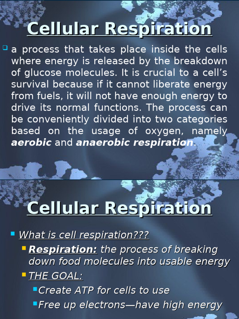 Difference of Aerobic Respiration and Anaerobic Respiration | PDF ...