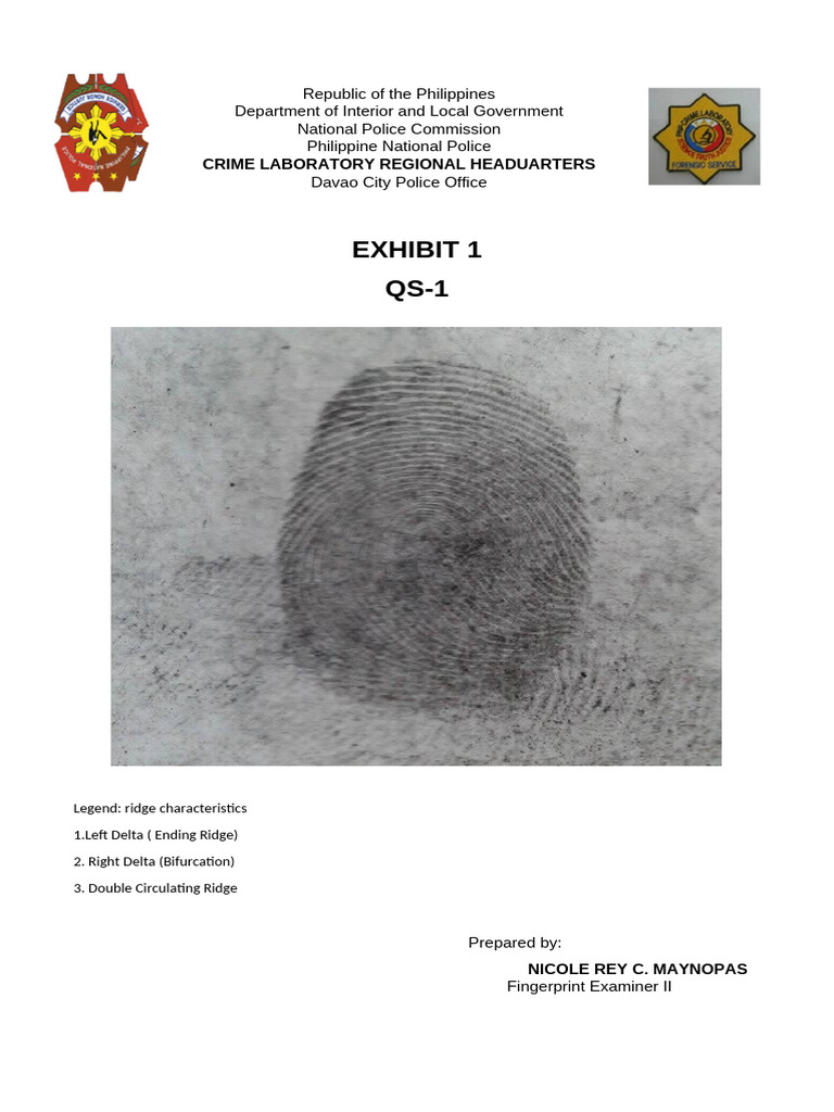 Exhibit For Juxta Position Maynopas | PDF