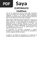 Saya Peruana | PDF | Bailes | Perú