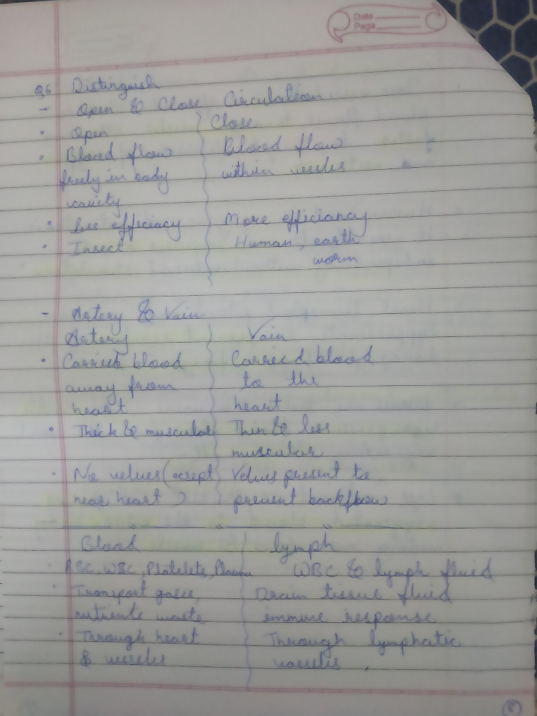 Notes 1 | PDF