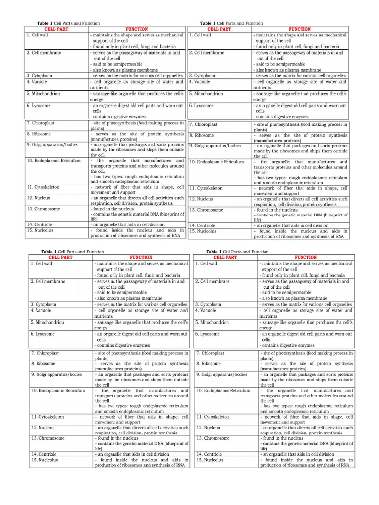Cell and Its Parts | PDF