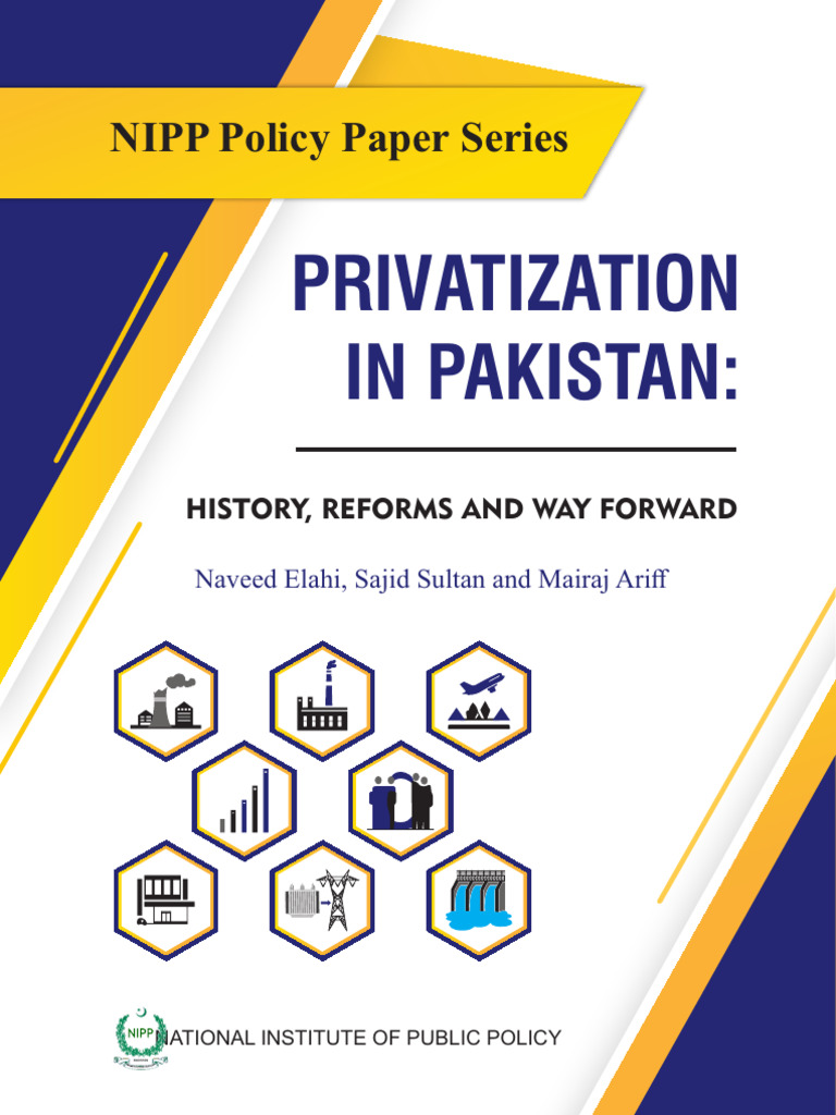 Privatization Report by NIPP | PDF | Privatization | Economic Inequality