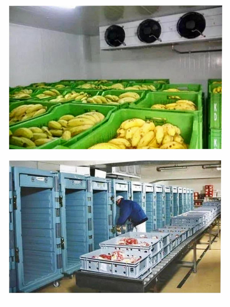 Cold Storage Pics | PDF