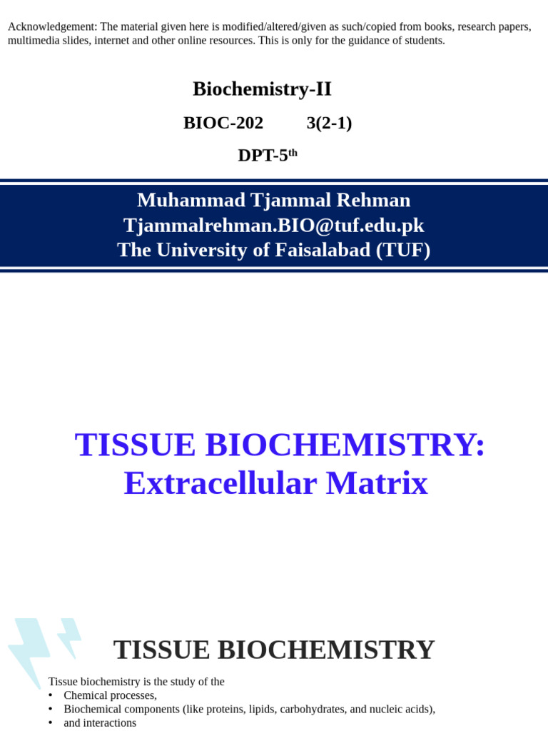 Extracellular Matrix | PDF | Extracellular Matrix | Collagen