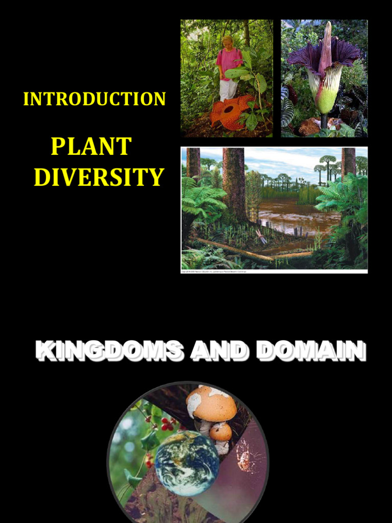 Understanding Plant Diversity and Kingdoms | PDF | Biological ...