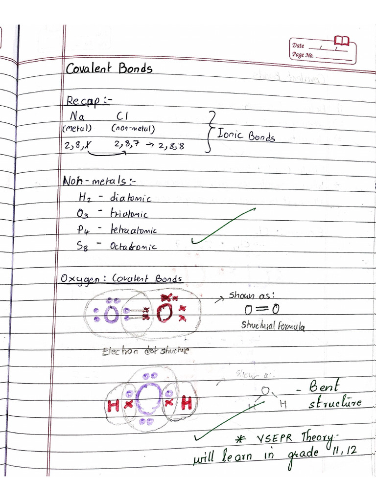 Grade 8 Notes | PDF
