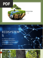 Sonoran Desert Ecosystem Guide | PDF | Food Web | Ecosystem
