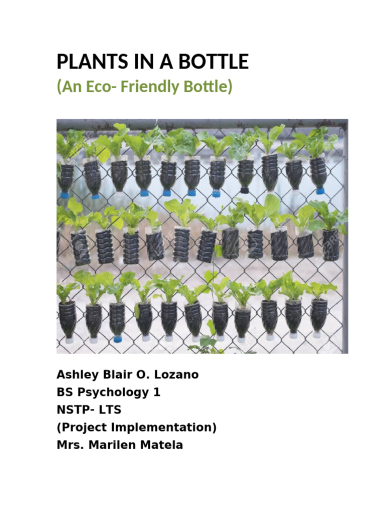 Project Implementation | PDF | Plants | Economy And The Environment