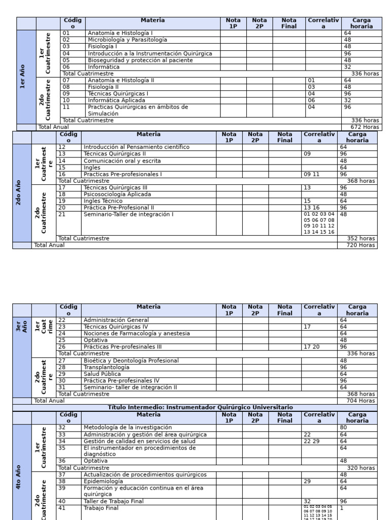 Plan de Estudio IQ Mel 1 | PDF