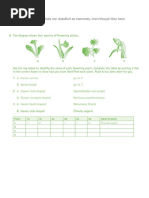 IGCSE Worksheet: MRS GREN Overview | PDF