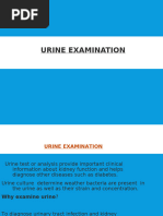Normal Urine Routine Examination Report | PDF | Urine | Kidney