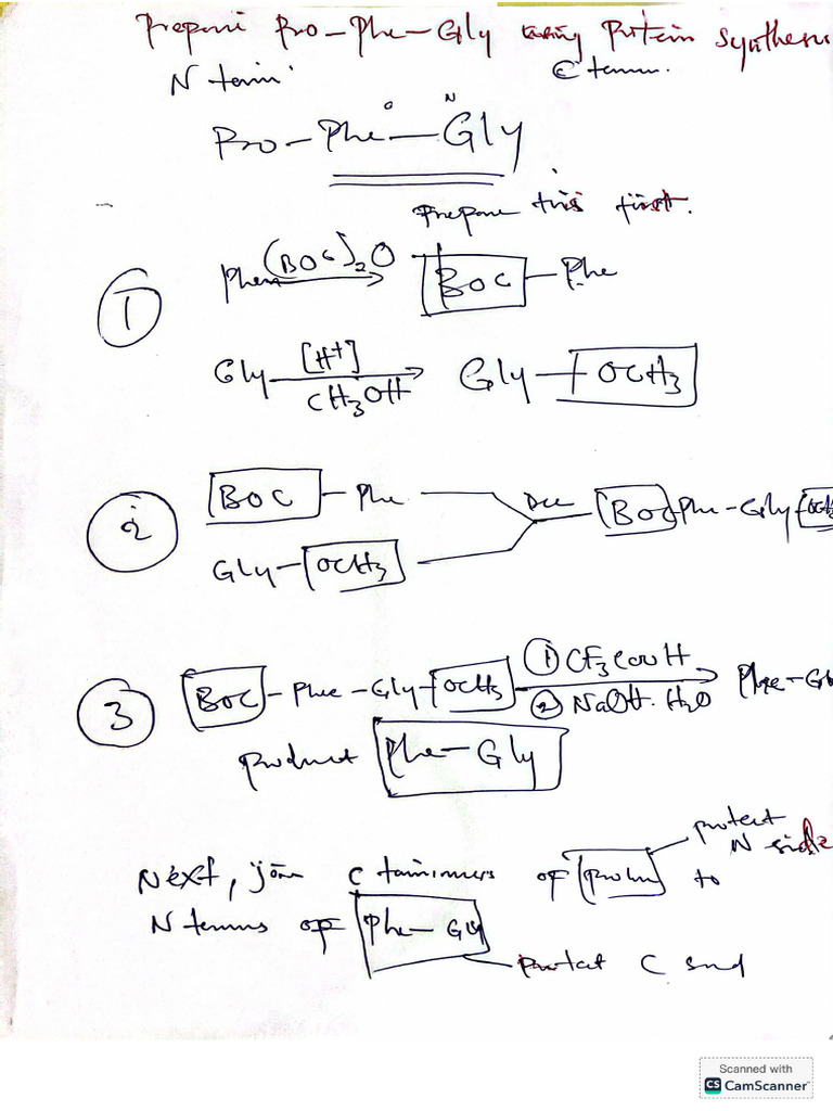 Practice Exercise Protein Synthesis | PDF