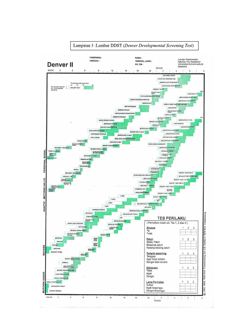 Denver Skrining | PDF