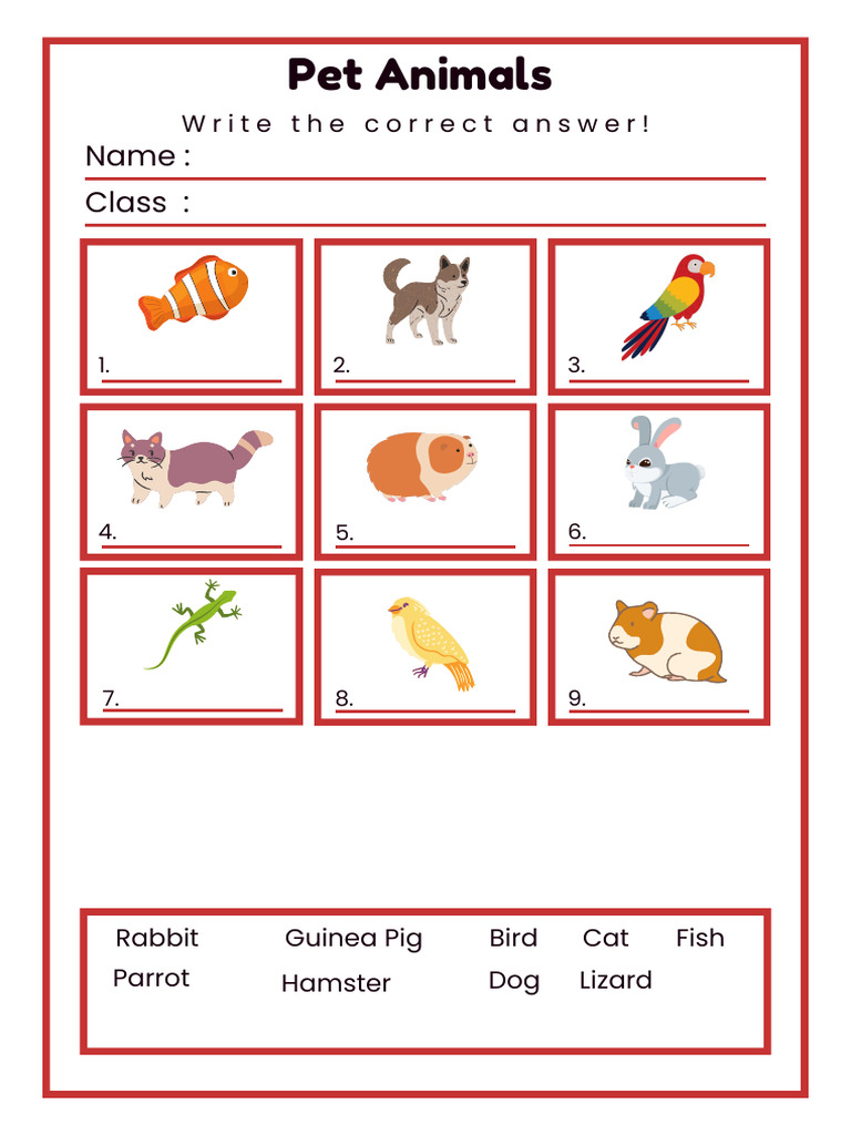 List of Common Pet Animals | PDF