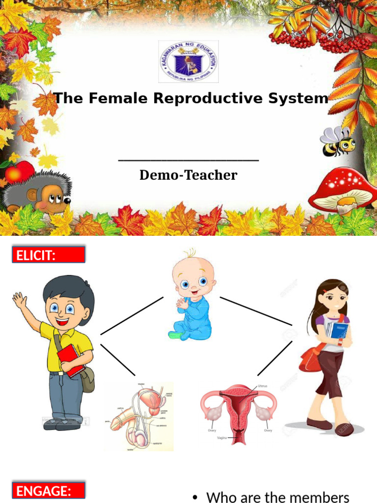 Cot 2 Sci 5 Reproductive System Pdf Uterus Sex
