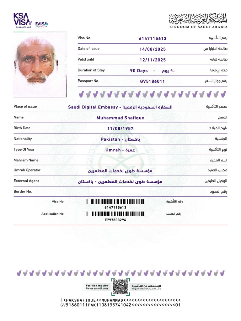 Muhammad Shafique | PDF