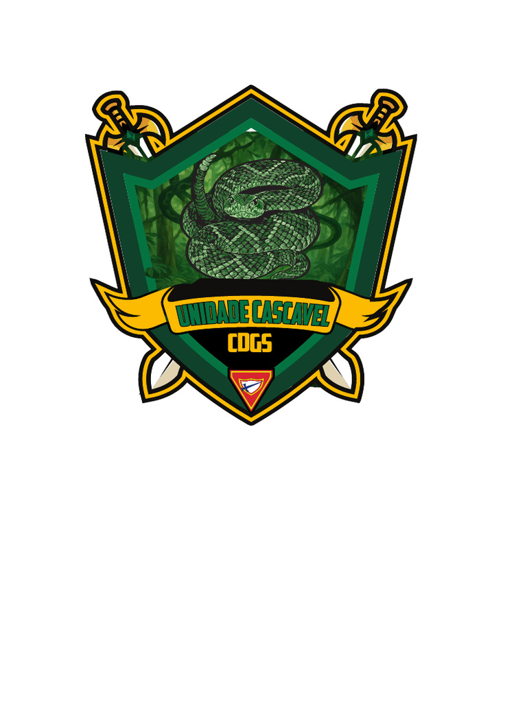 Cdgs | PDF