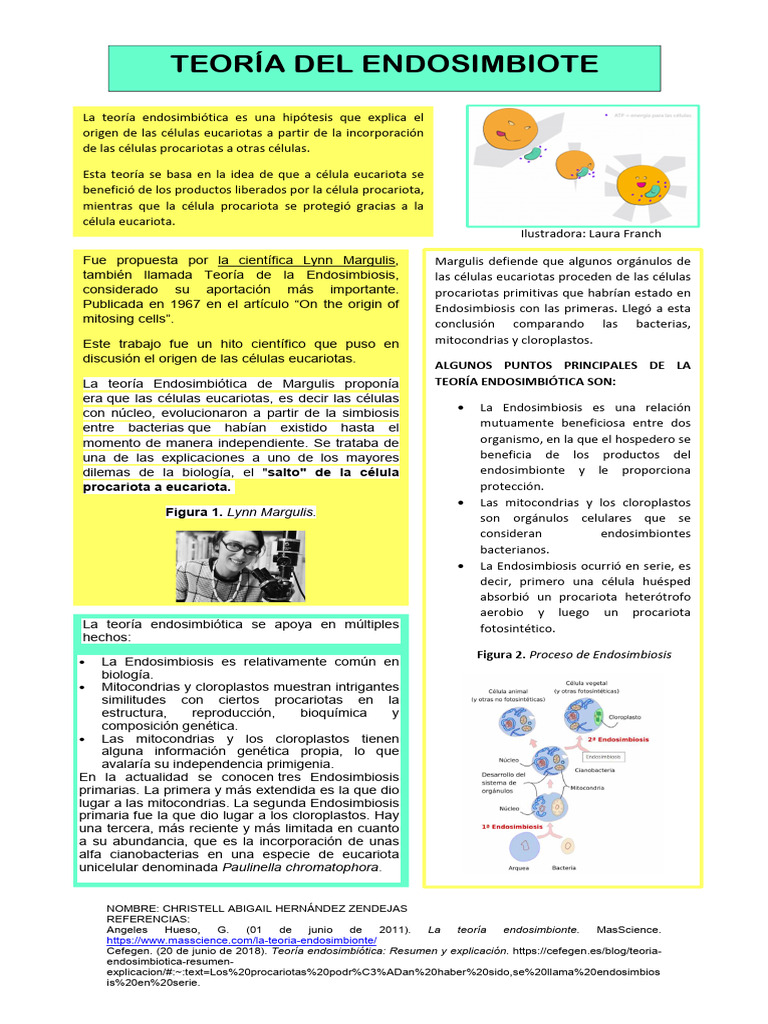 Teoría Endosimbiótica de Margulis | PDF | Organismos | Interacciones ...