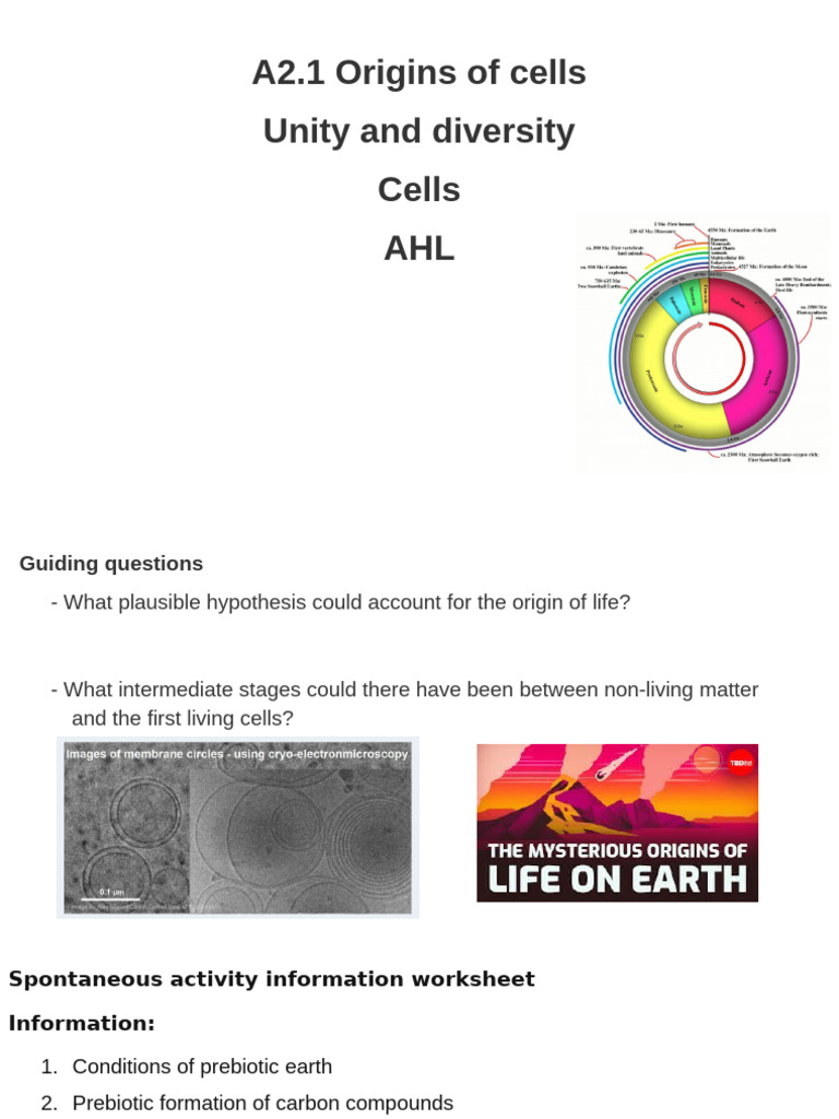 Prebiotic Earth and Cell Evolution Stages | PDF | Abiogenesis | Rna