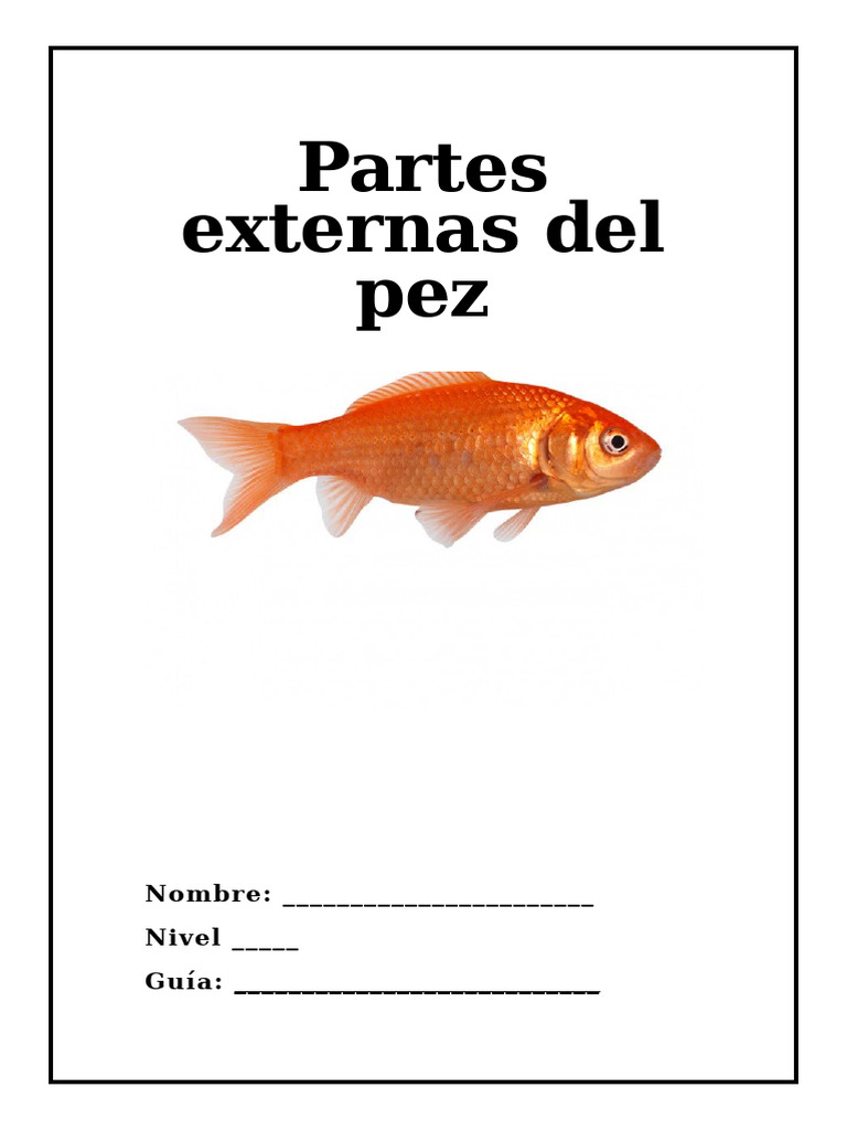 Partes Externas del Pez: Guía Educativa | PDF | Pescado | Vertebrados