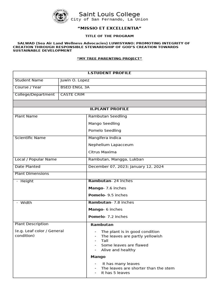 Tree Planting Project Report 2023 | PDF | Leaf | Botany